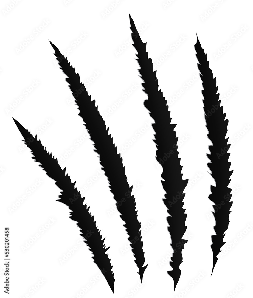 Break traces of lion or bear, scratches claw marks Stock Illustration ...