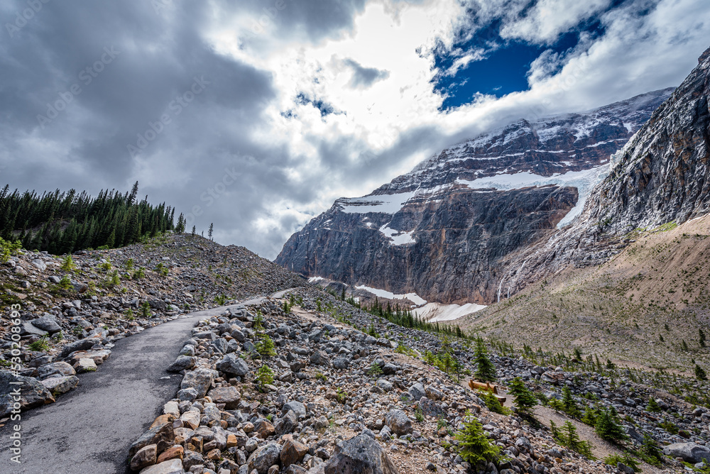 The Glacier Trail at Mt. Edith Cavell in Jasper National Park, Alberta ...