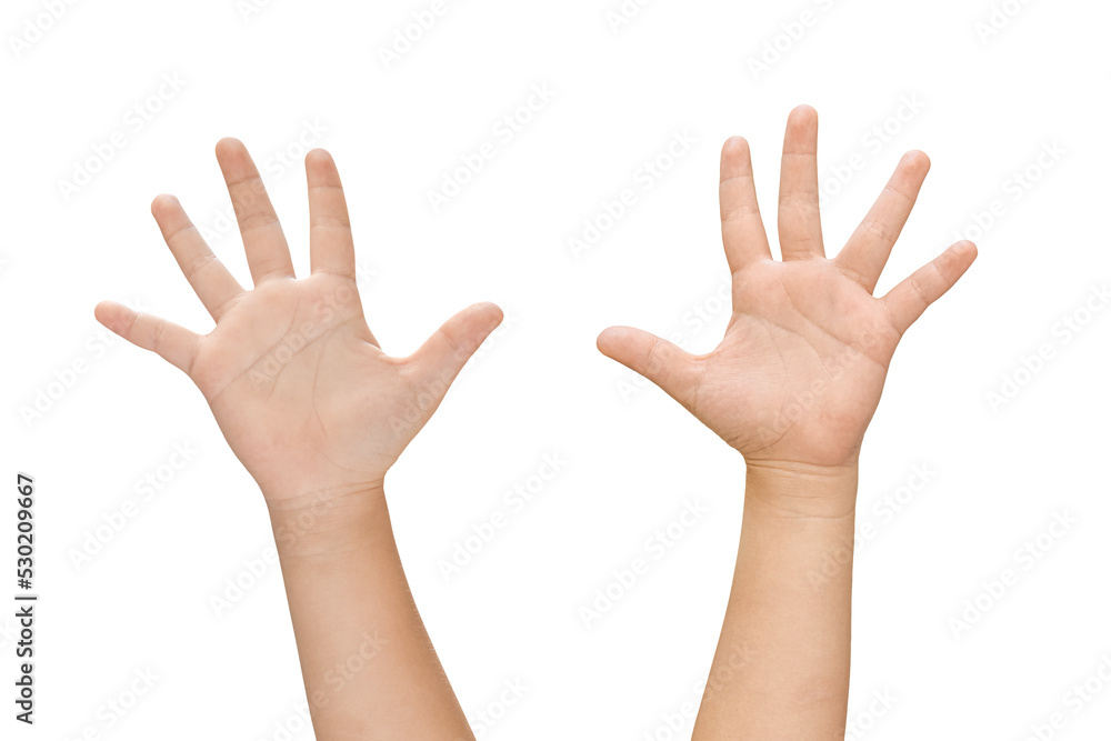 child hands raised up gesture Isolated on white background with ...