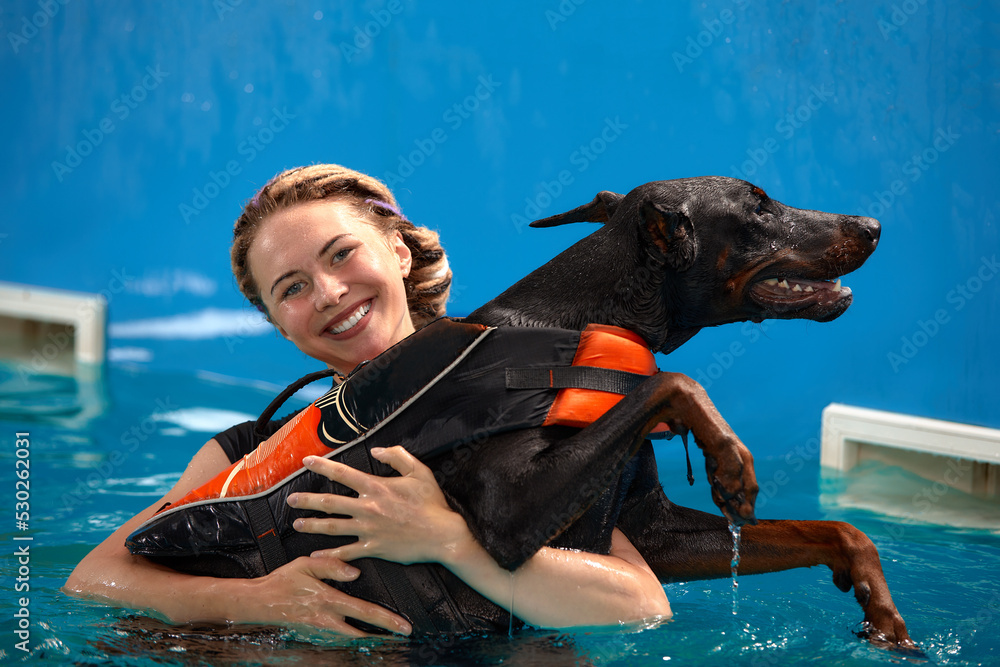 Dog in life jacket swim in the swimming pool with coach. Pet ...