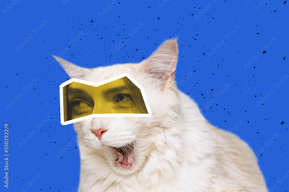 Meow loudly. Big white cat with human eyes expressive different emotion ...