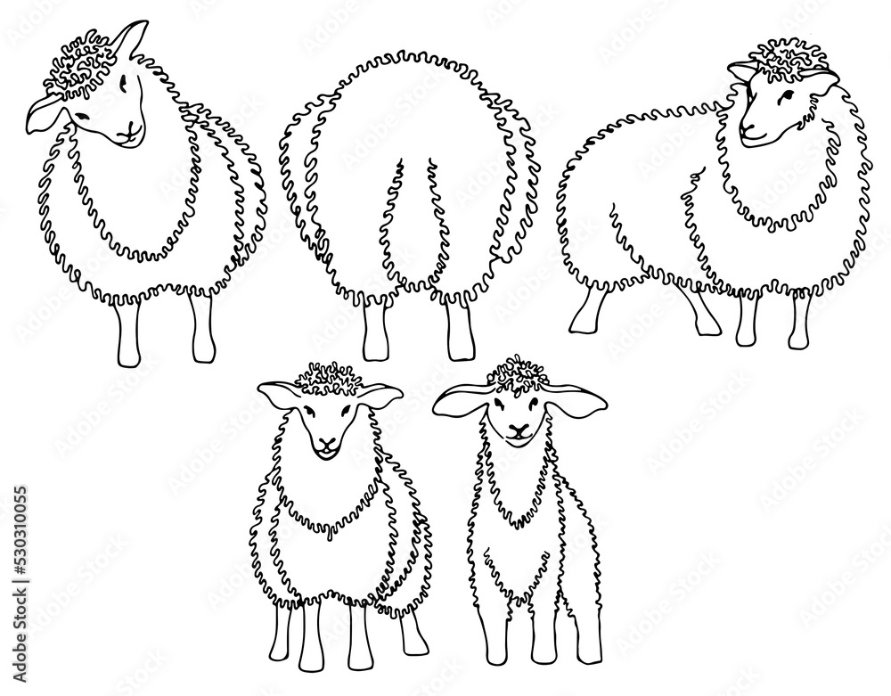Cute outline sheep set, hand drawn witn fineliner. Black line design isolated on transparent ...