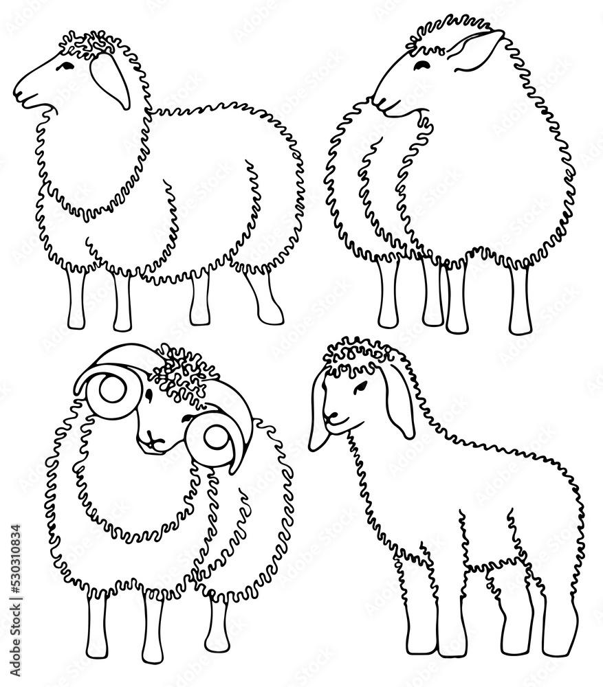 Cute outline sheep set, hand drawn witn fineliner. Black line design isolated on transparent ...
