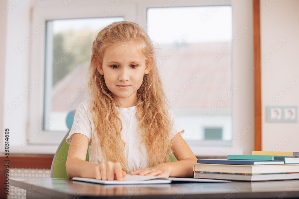 Beautiful girl child - schoolgirl teaches lessons at a desk Stock Photo ...