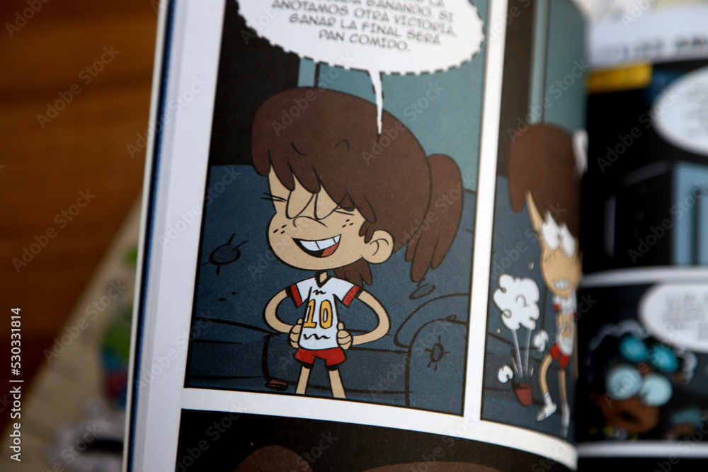 Comic book from the television series The Loud House. Lincoln and his ...