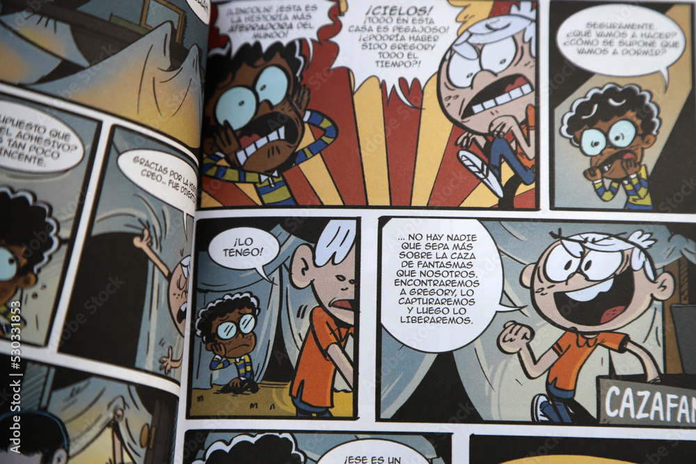 Comic book from the television series The Loud House. Lincoln and his ...