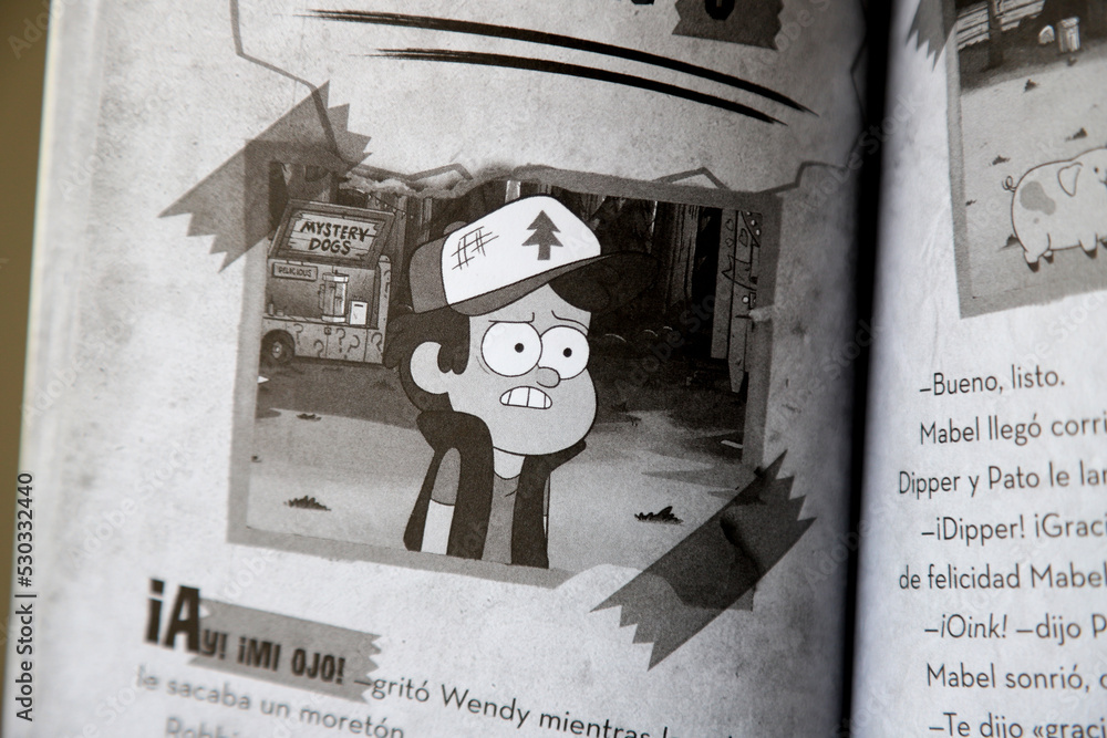 Gravity Falls Picture Book: A Summer of Mysteries. Twin brothers Dipper ...