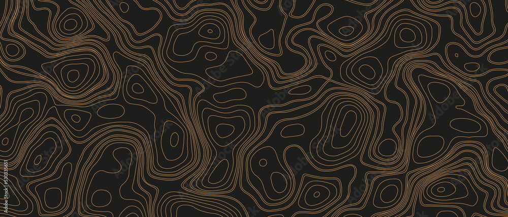 Topographic map. Abstract background with lines and circles. Red ...