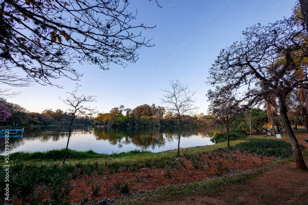 Foto de Linda paisagem do parque publico com muitas arvores e contato ...