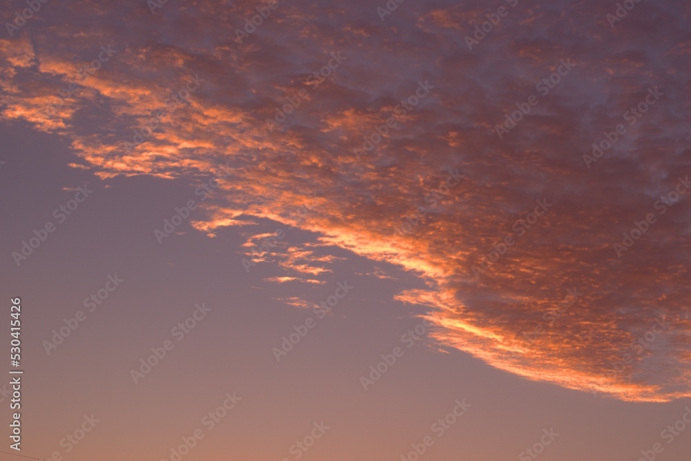 Magic morning sky, delicate pink clouds, dawn, banner, screensaver ...