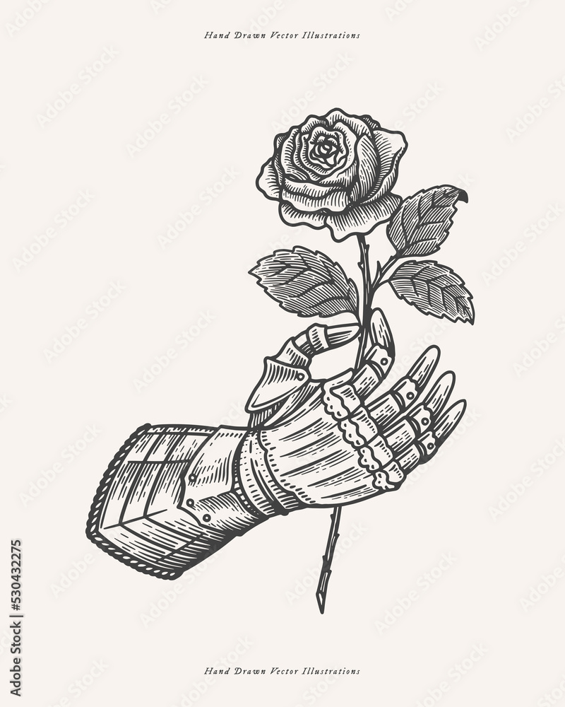 Knight's gauntlet holds a rose in an engraving style. Vintage romantic ...