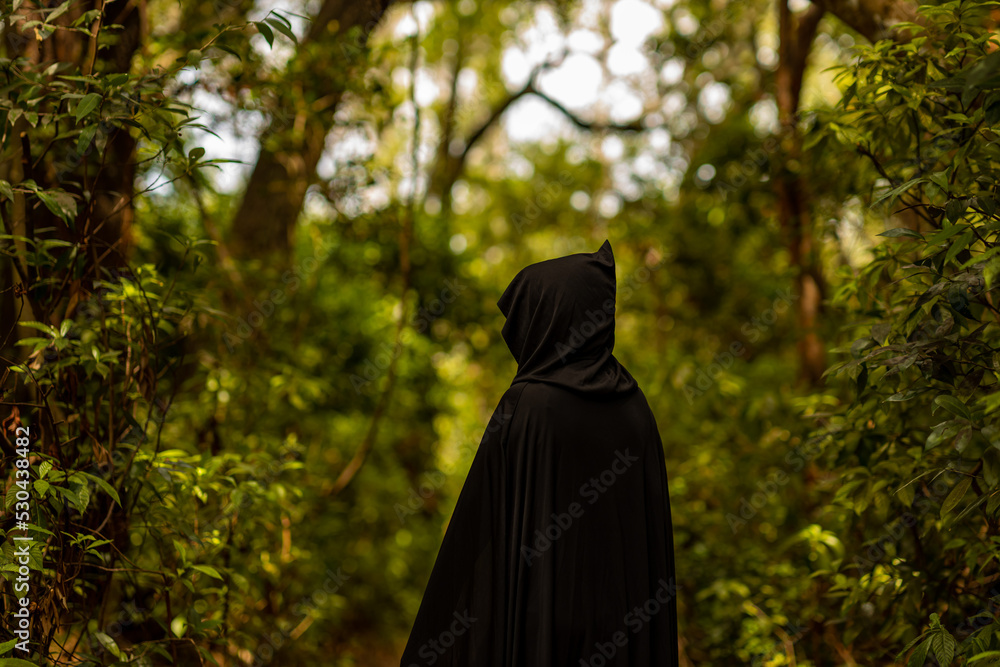 A dark hooded figure stands in the woods.The face is not visible. Happy ...