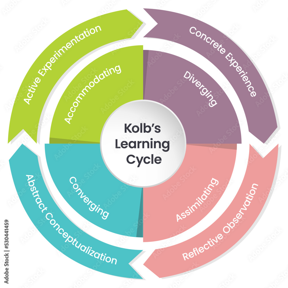 Poster Kolb's Learning Cycle Infographic Vector Illustration – Wall Art ...