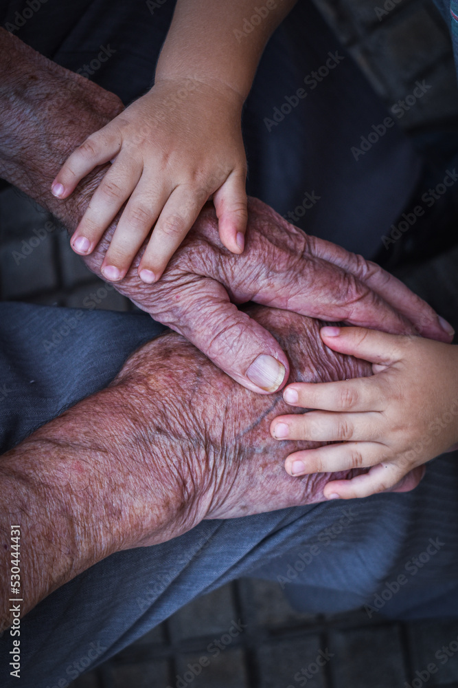 Manos de bisabuelo y bisnieto símbolo de vida y paso del tiempo Stock ...