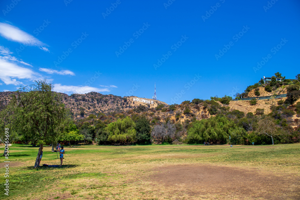 a gorgeous summer landscape in the Hollywood hills with the Hollywood ...