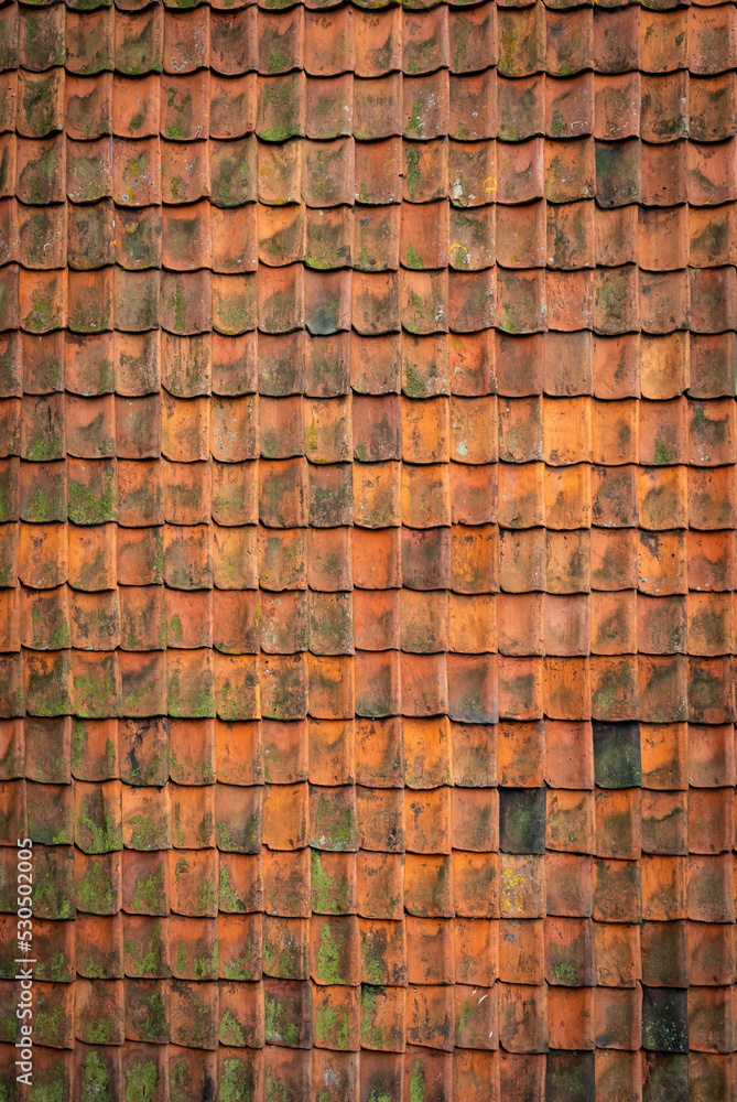 Roof tile texture. Rooftop house material. Repeat roof tile pattern ...