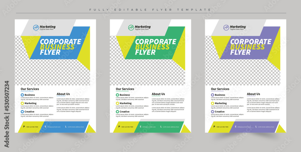 Corporate Business Flyer, a4 size flyer, 3 color variations, catalog ...