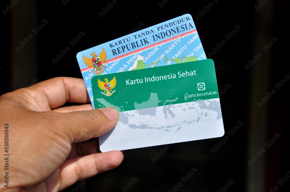 Holds a Healthy Indonesia Card (Health Insurance card from the ...