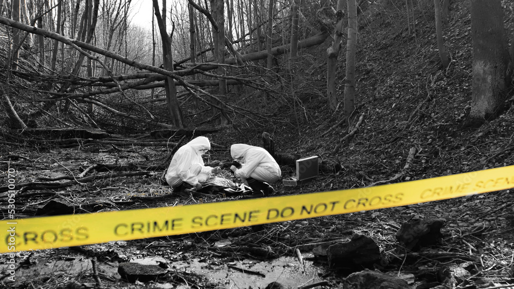 Detectives are collecting evidence in a crime scene. Forensic ...
