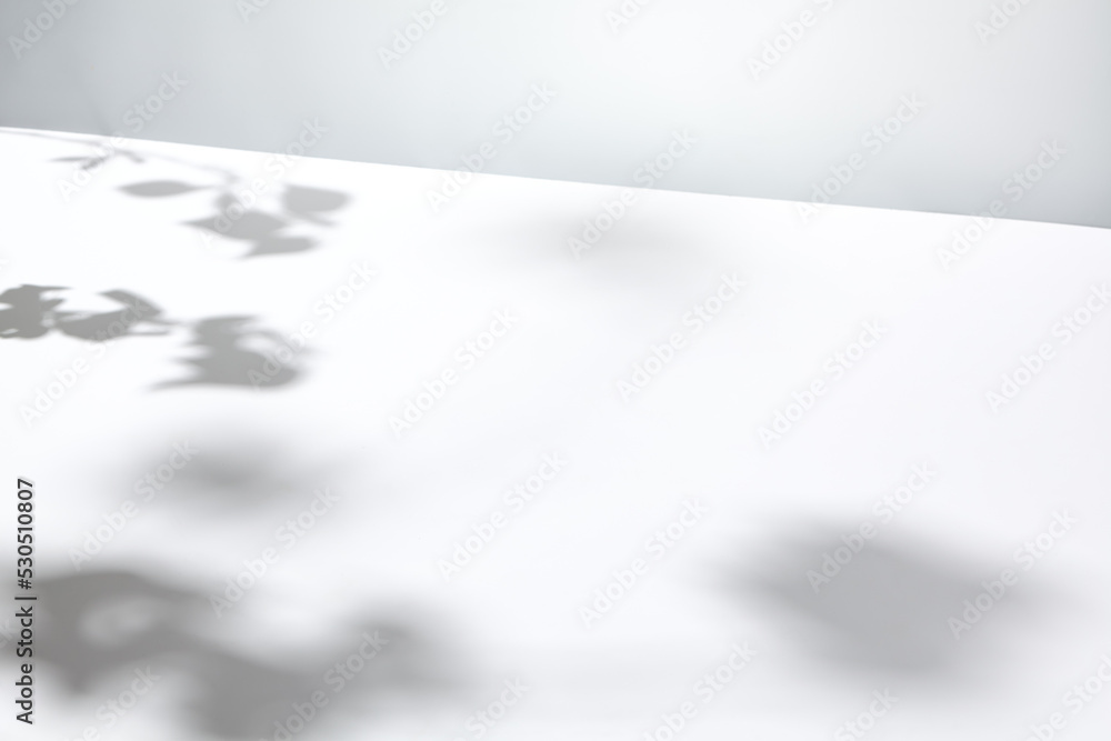 Light background with harsh shadows of tree branch. Aesthetic white ...