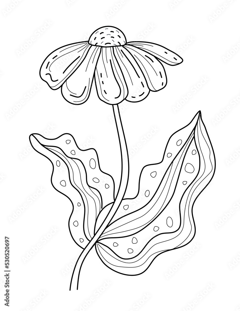 Hand drawn coloring page for kids and adults. Single daisy flower ...