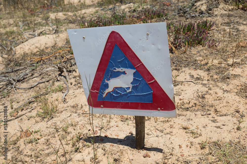 warning sign on the road of an antelope jumping concept danger or ...