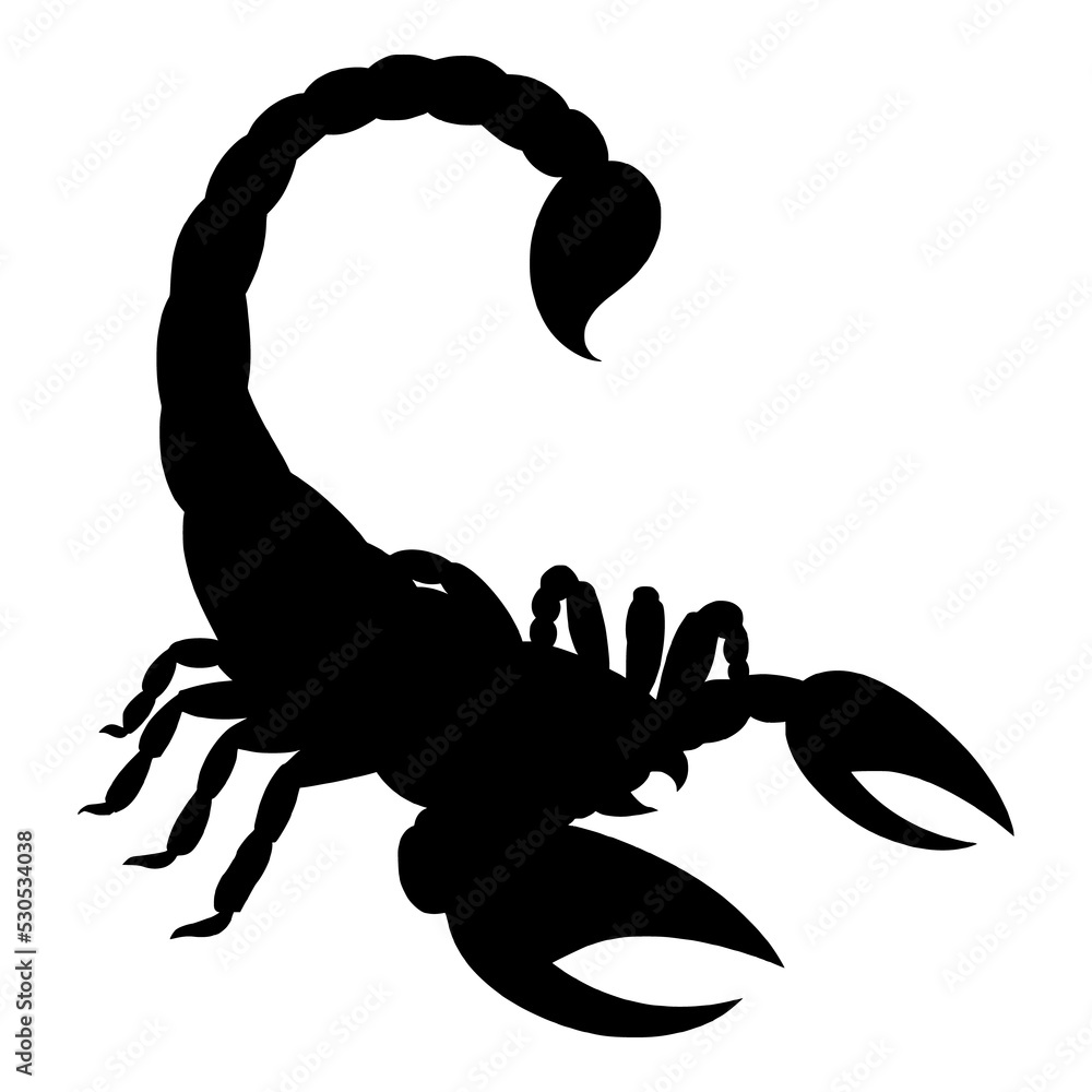 Poster Silueta de escorpión aislado – Wall Art | UkPosters