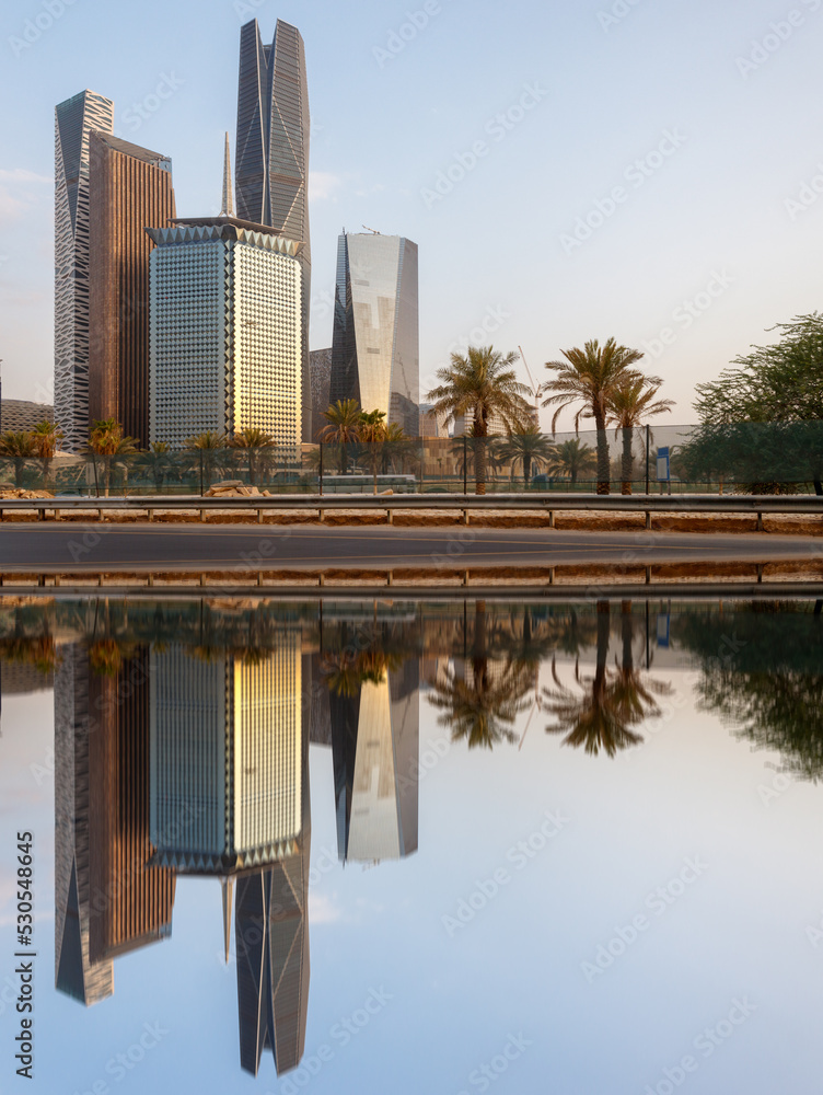 Riyadh roads and streets are filled with ornamental trees on both sides ...