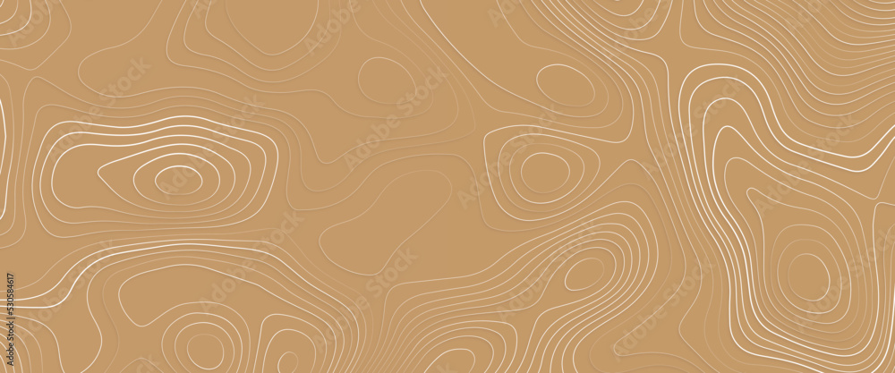 Topographic map. geographic mountain relief. abstract lines background ...