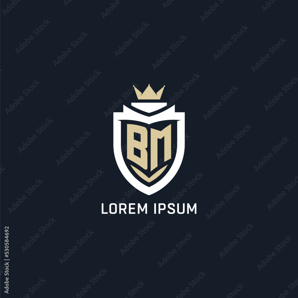 Initial letter BM shield and crown logo style, esport team logo design ...