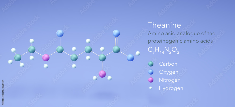 theanine, molecular structures, amino acid, 3d model, Structural ...