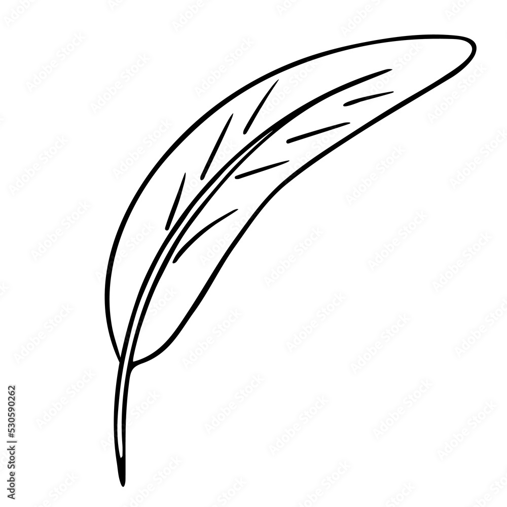 Bird feather quill, writing ink pen, hand drawn outline, doodle sketch ...
