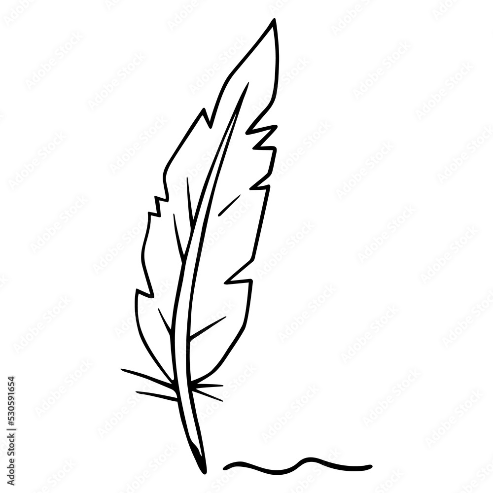 Bird feather quill, writing ink pen, hand drawn outline, doodle sketch ...