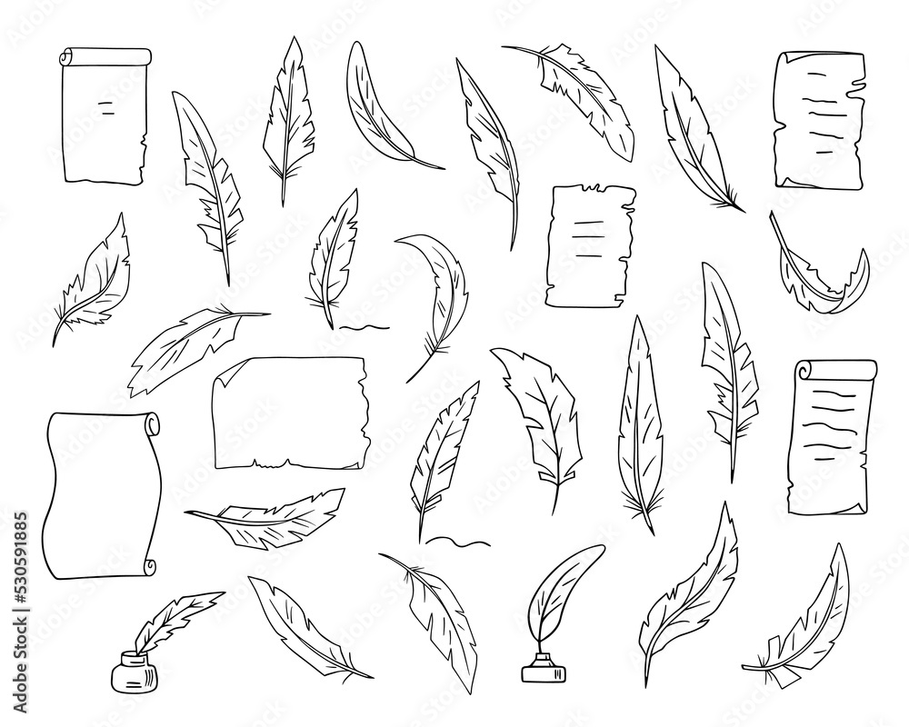 Bird feather quills and scroll parchment paper sheets set, writing ink ...