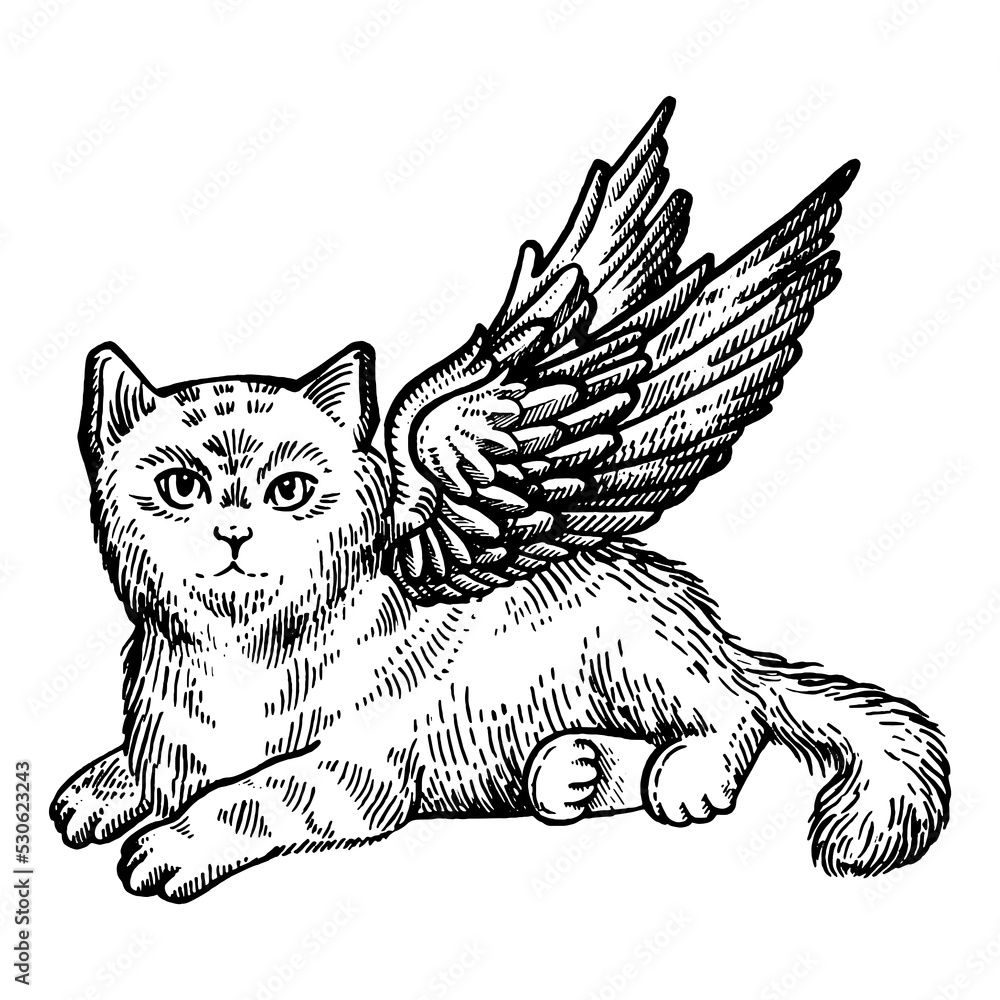 Angel flying kitten sketch engraving PNG illustration with transparent ...