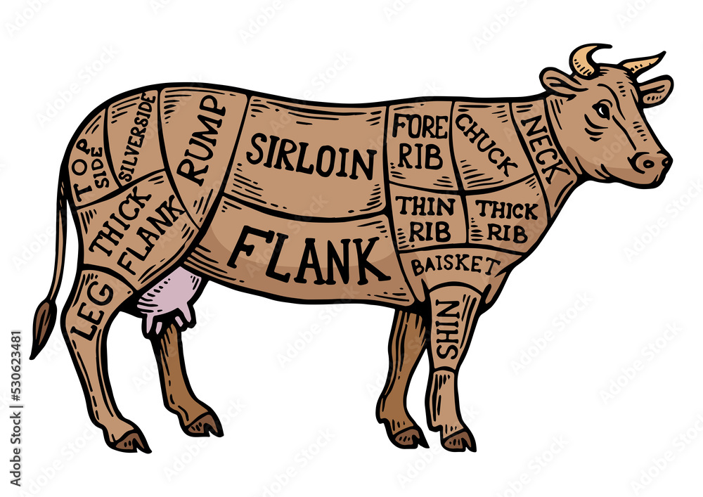 Meat diagram cow color sketch engraving PNG illustration with ...
