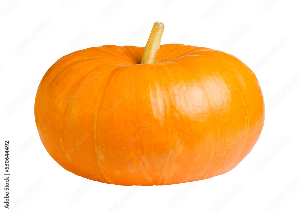 Pumpkin isolated on transparent background. PNG format Stock Photo ...