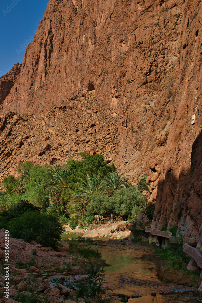 Todra gorge in Morocco, red rocks in Morocco, exploring the gorge ...