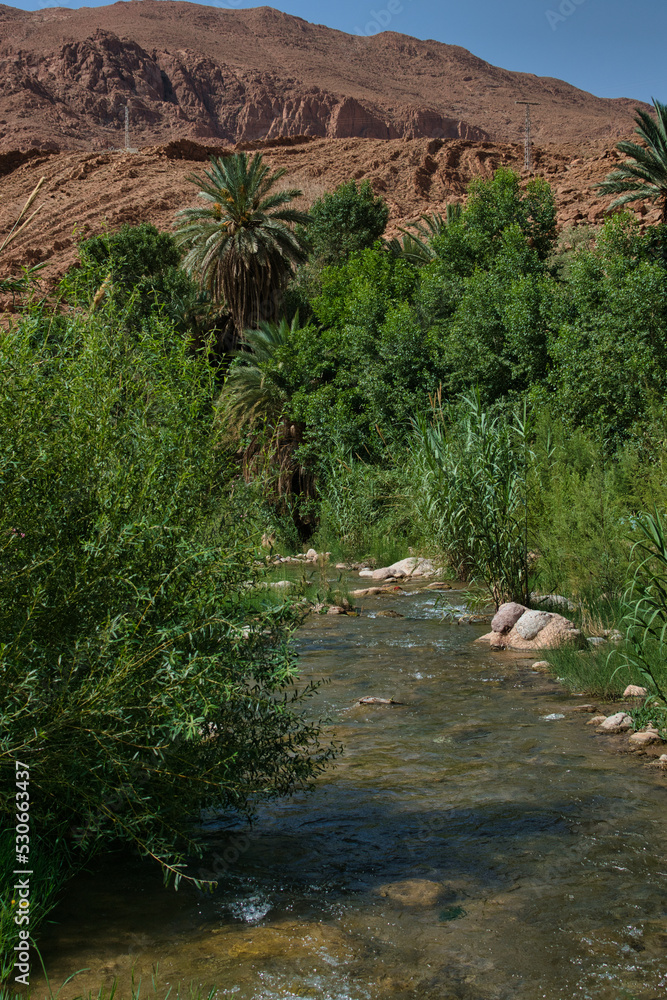 Todra gorge in Morocco, red rocks in Morocco, exploring the gorge ...