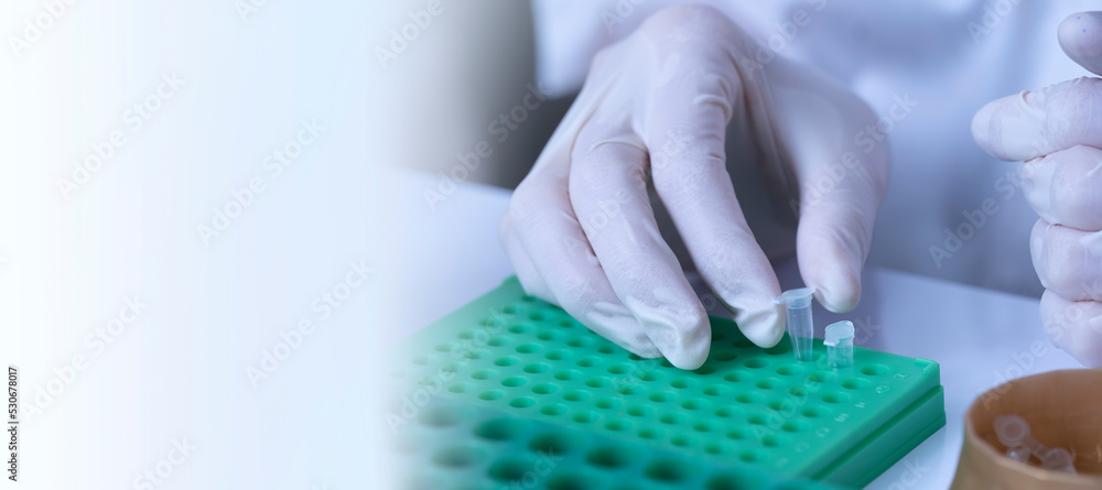 Scientist holding PCR tube put into PCR machine, Real-time PCR for ...