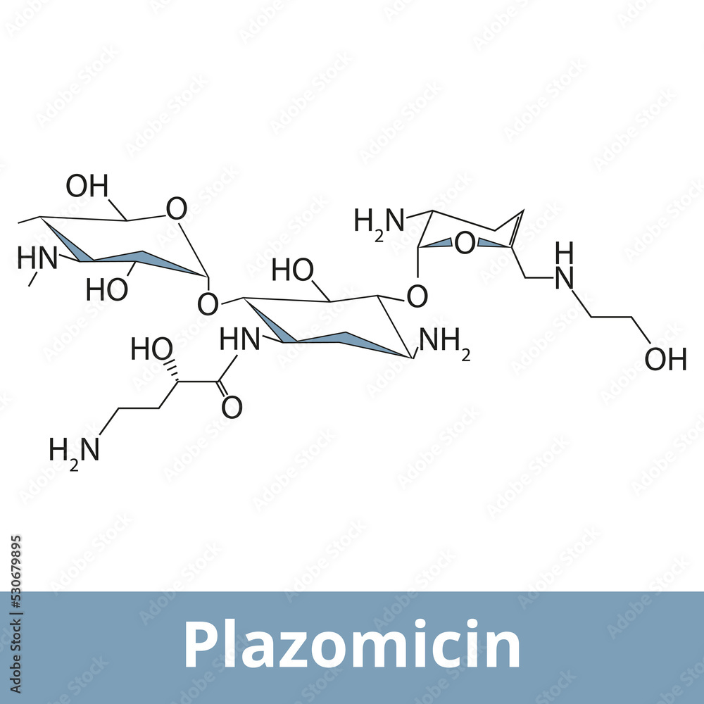 Plazomicin. Aminoglycoside antibiotic used to treat complicated urinary ...