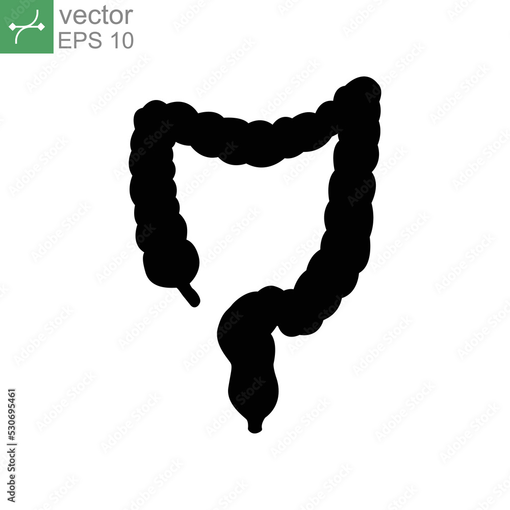 Large intestine icon solid. Intestines digestion system symbol. Healthy ...