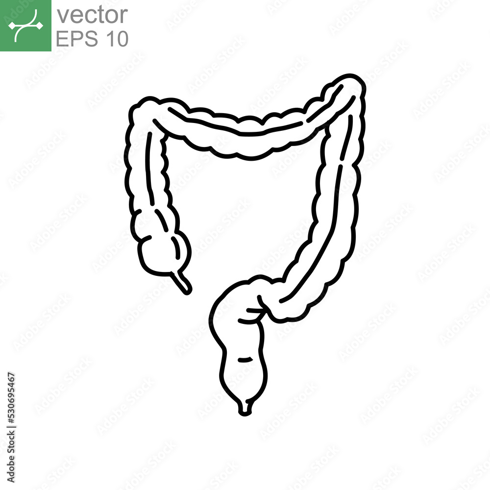Large intestine icon, filled, outline. Intestines digestion system ...