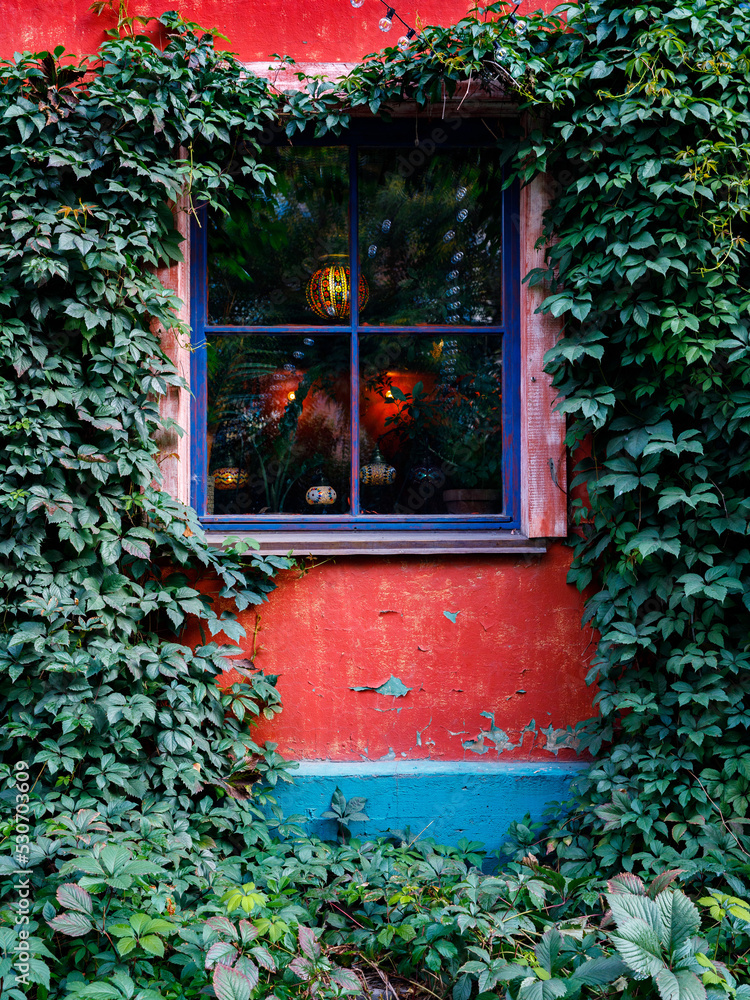 Window with wooden window binding, lights and ivy leaves, bright colour ...