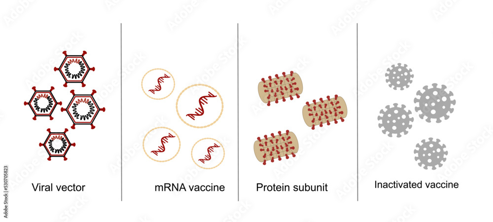 The classification of COVID-19 vaccines in current uses: Viral vector ...