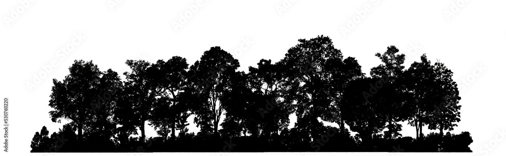 Silhouette tree brush design on transparent .background, illustrations ...