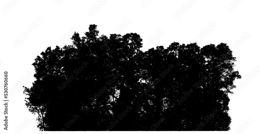 Silhouette tree brush design on transparent .background, illustrations ...