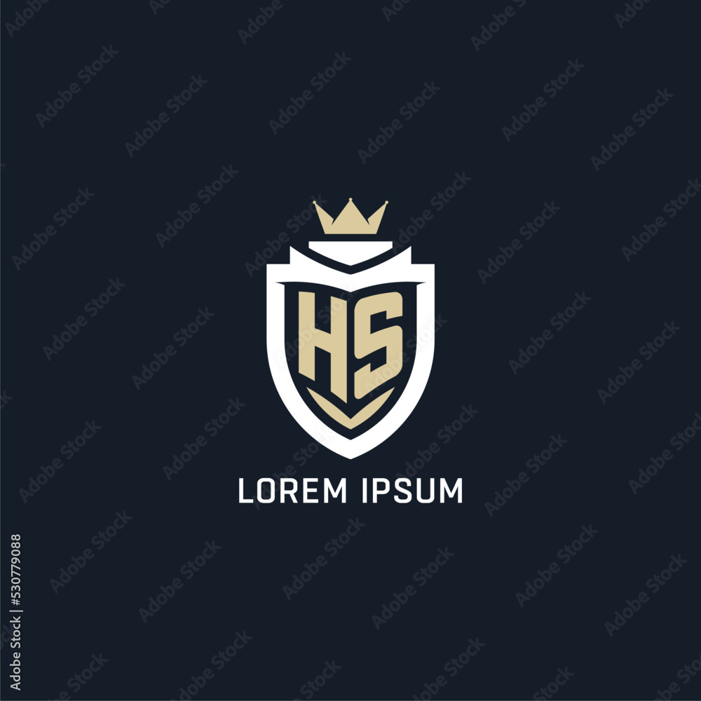 Initial letter HS shield and crown logo style, esport team logo design ...