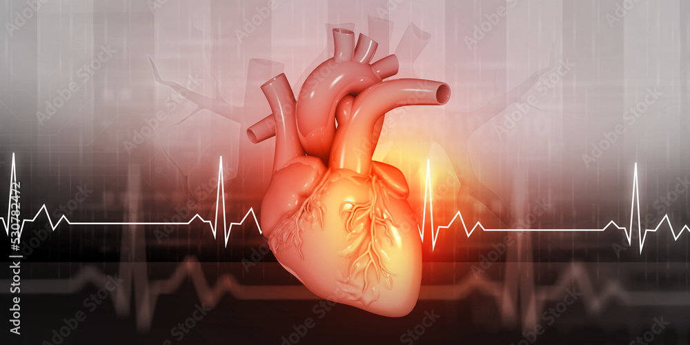 Human heart anatomy on medical background. 3d illustration. Stock ...