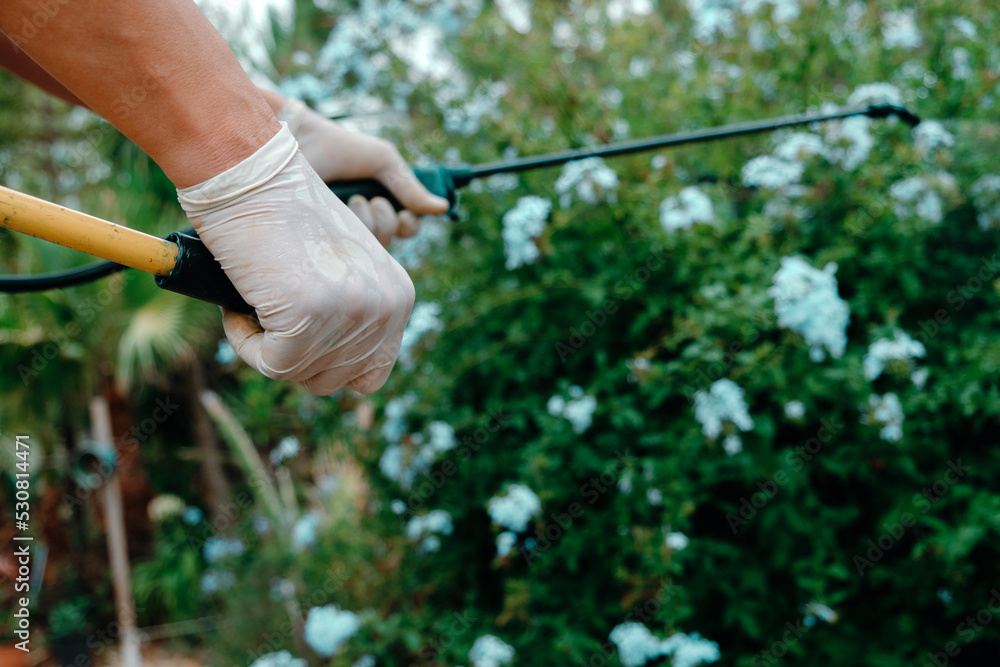 man using a knapsack sprayer to spray insecticide Stock Photo | Adobe Stock